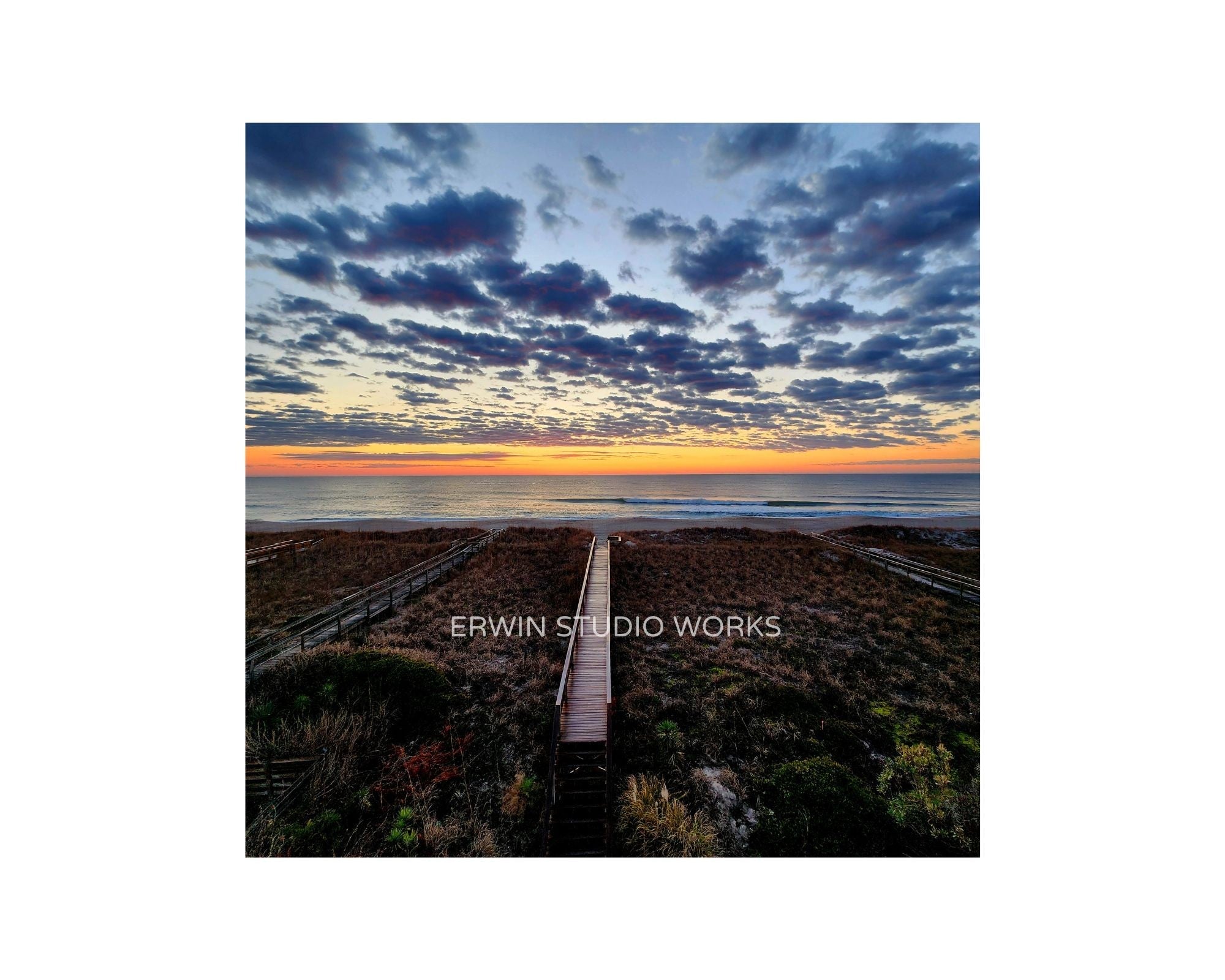 Coastal Carolina – Erwin Studio Works